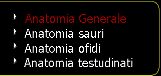 Suli Suli.com - Rettili